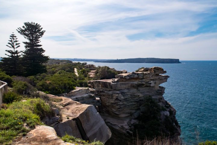 Federation Cliff Walk - Bondi to Watsons Bay - Living EZ