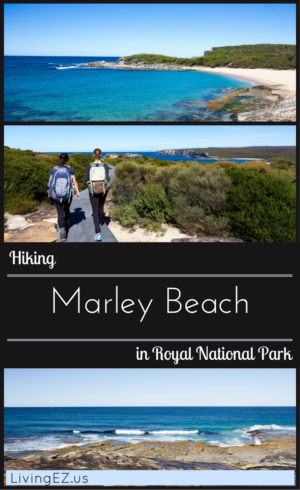 Bundeena to Marley Beach Walk - Living EZ